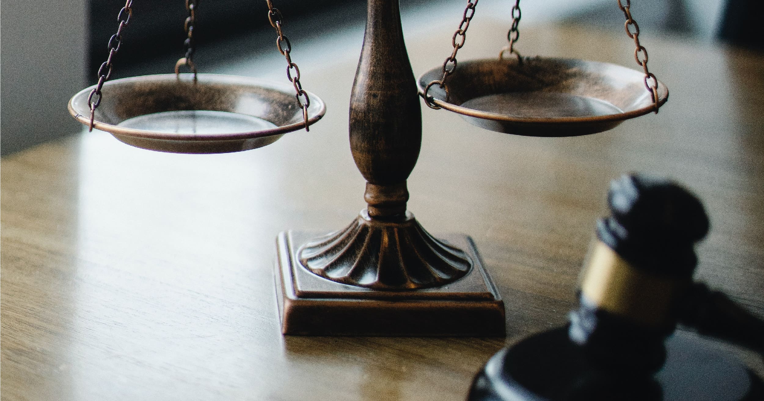 Cass. Sez. 1, 9 dicembre 2025, n. 31958, Pres. Terrusi, Est. D’Aquino